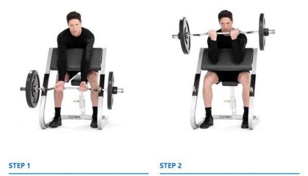 Mastering Biceps Ez Preacher Curl Guide Form Flaws Set Up And Execution
