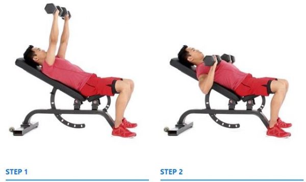 Mastering Seated Incline Decline Press Guide Form Flaws Set Up And Execution